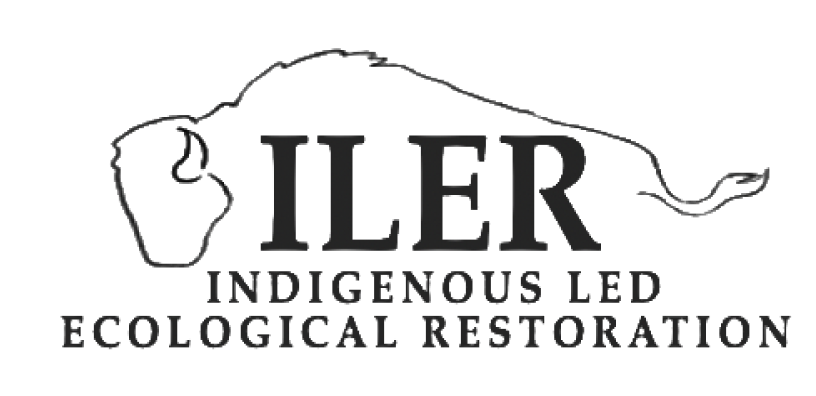 Indigenous Led Ecological Restoration