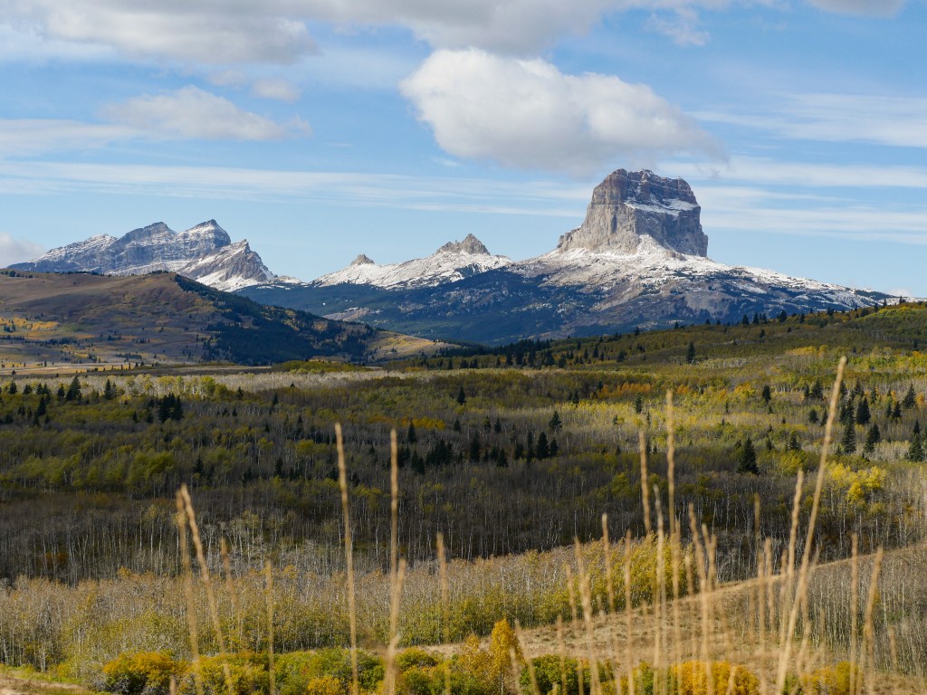 Project Description – Indigenous Led Ecological Restoration